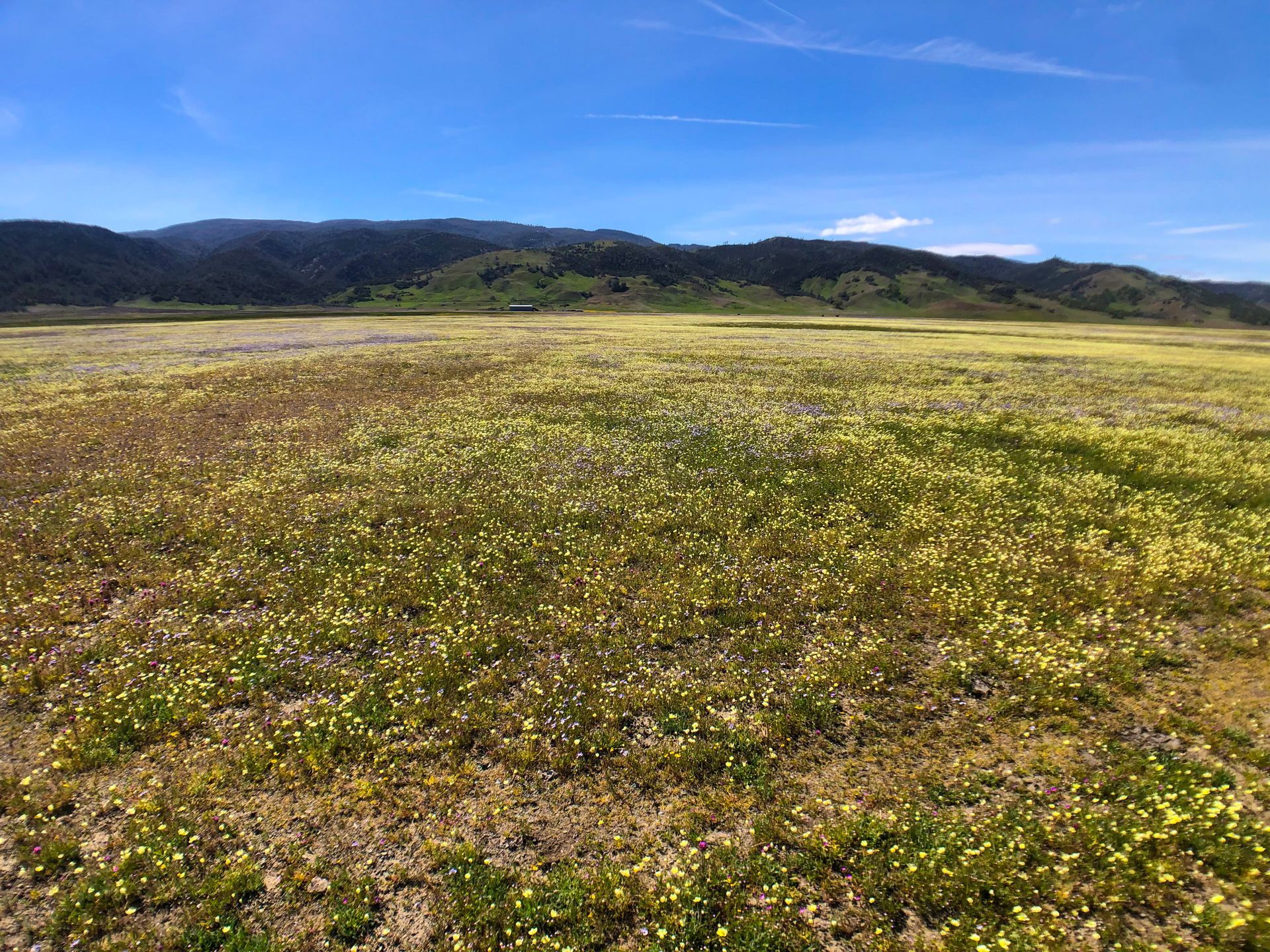 Tuleyome's Policy Corner - Protecting Our Lands