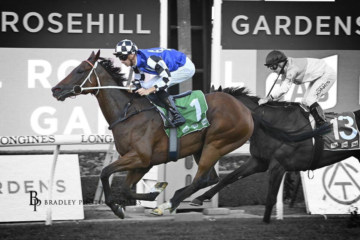 OUR CONFIDENCE IN SATURDAYS RUNNERS - 28TH SEPTEMBER 2024