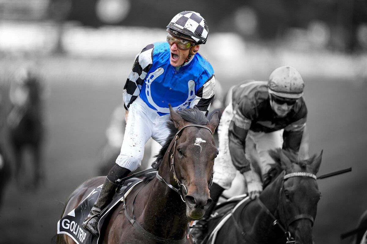 OUR CONFIDENCE IN SATURDAYS RUNNERS - 7th SEPTEMBER 2024