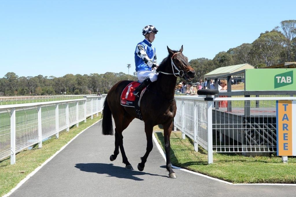 Our Confidence in Saturdays Runners - 27th July 2024