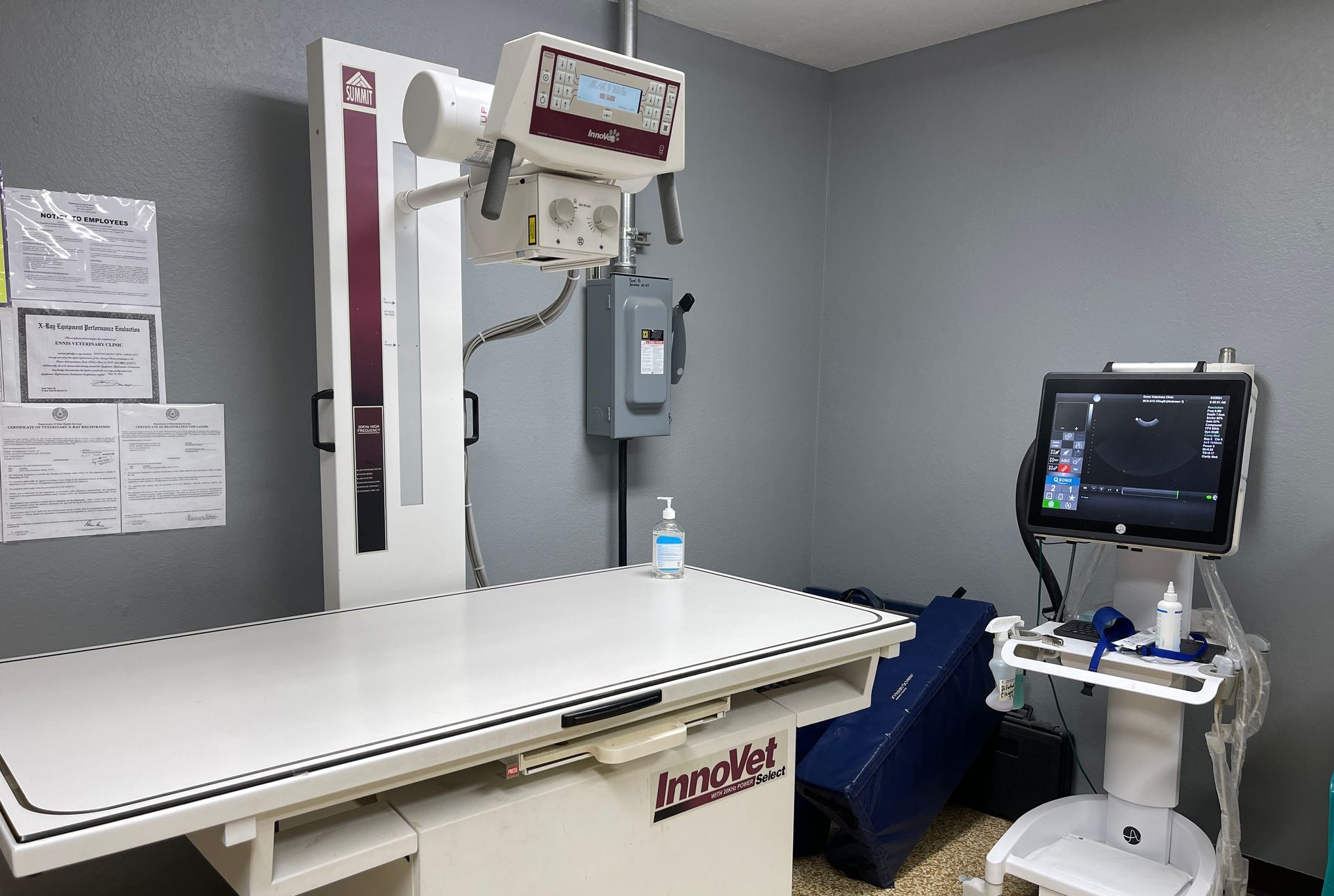 Ennis Veterinary Clinic Services