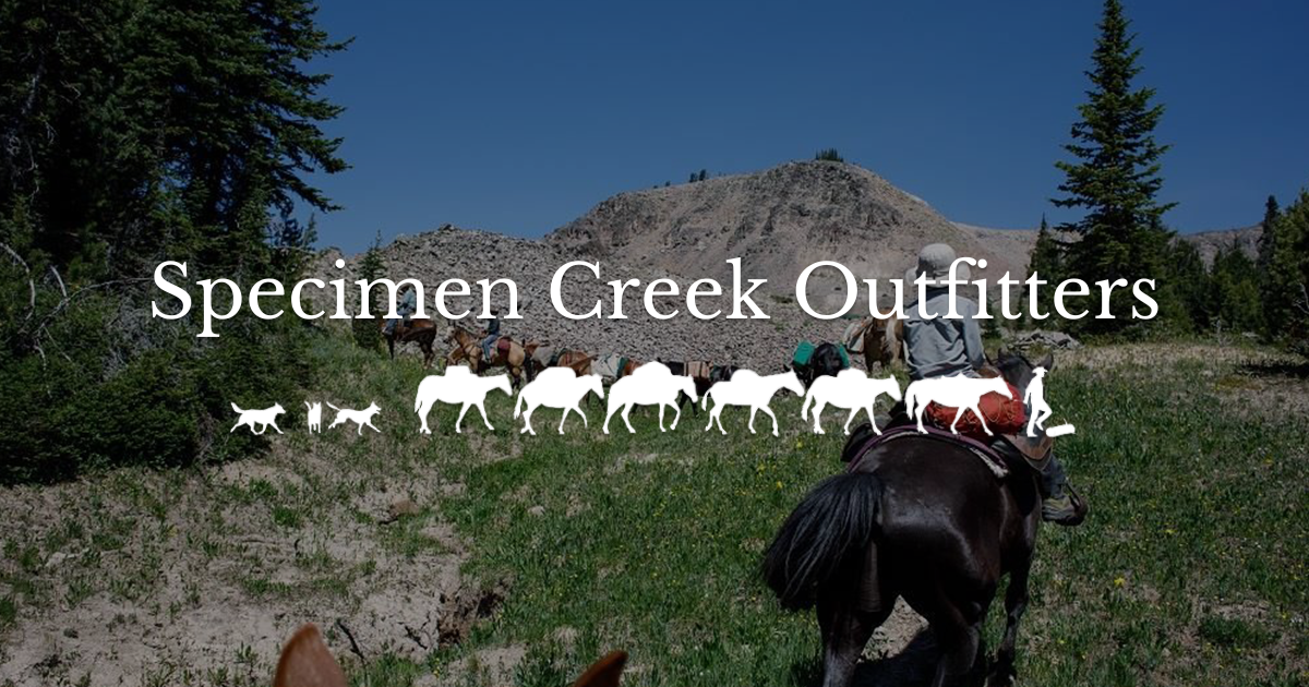Specimen Creek Outfitters | Montana Horseback & Hunting