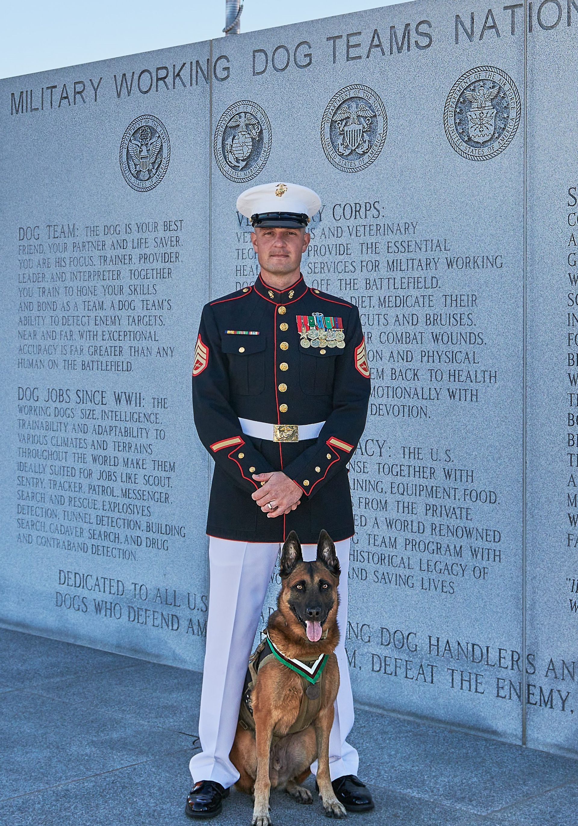 US Marine Corps dog Bass awarded the PDSA Dickin Medal