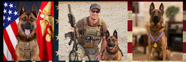 Are Military Dogs Trained In Dutch
