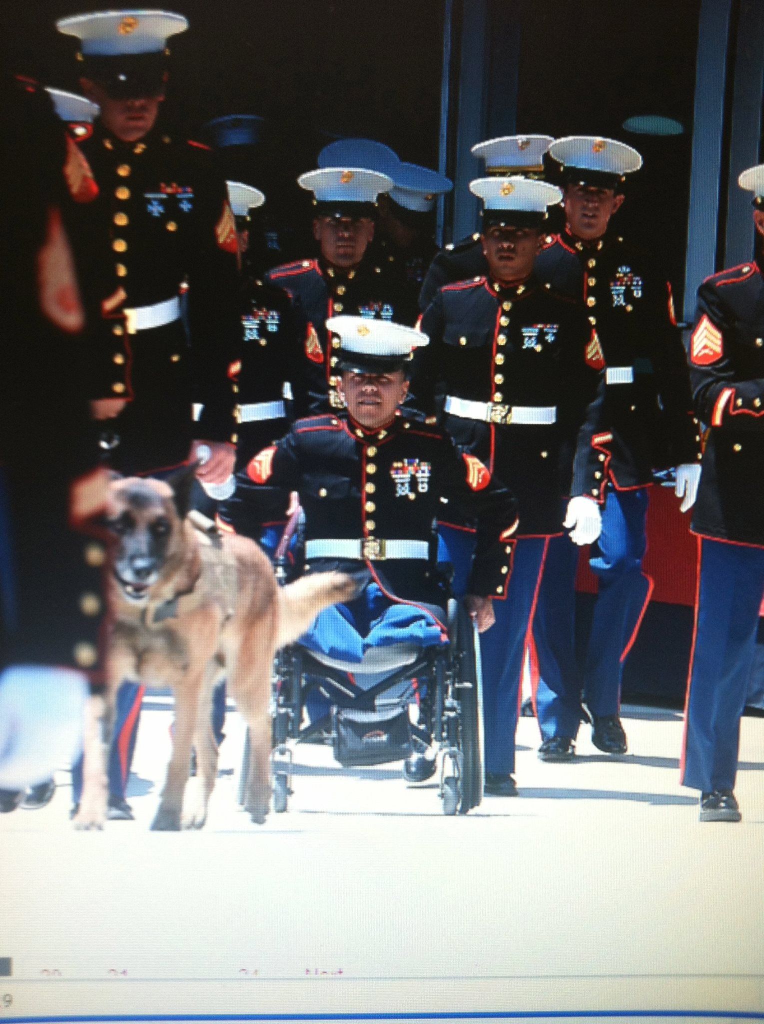 In Conversation With… US Marine Corps Dog Handler, Jose Armenta