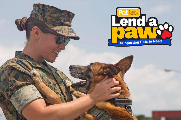 United states war dogs