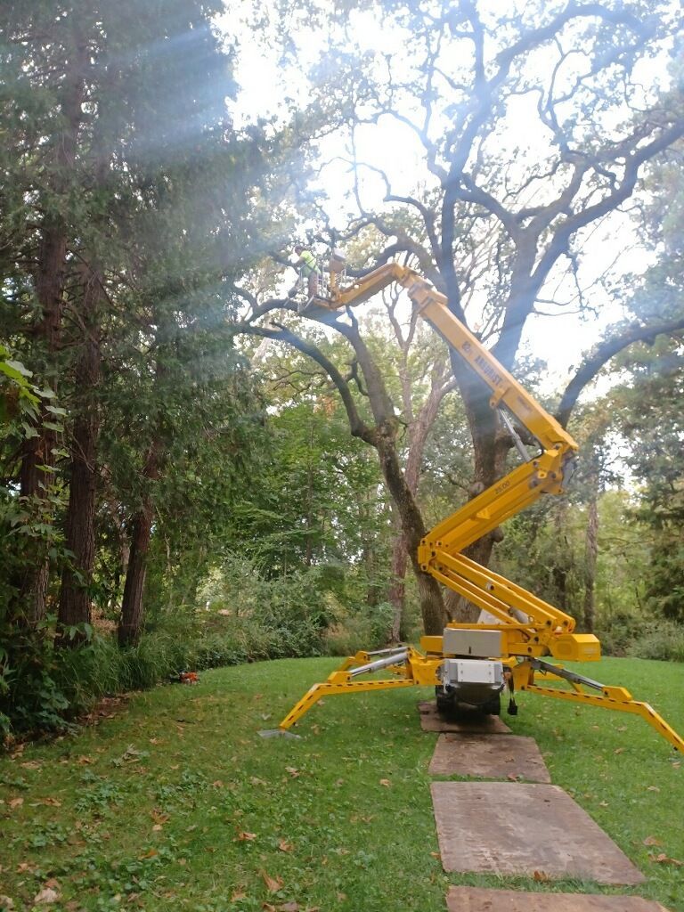 Lot Clearing | Oroville, CA | Tree of Life Tree Service