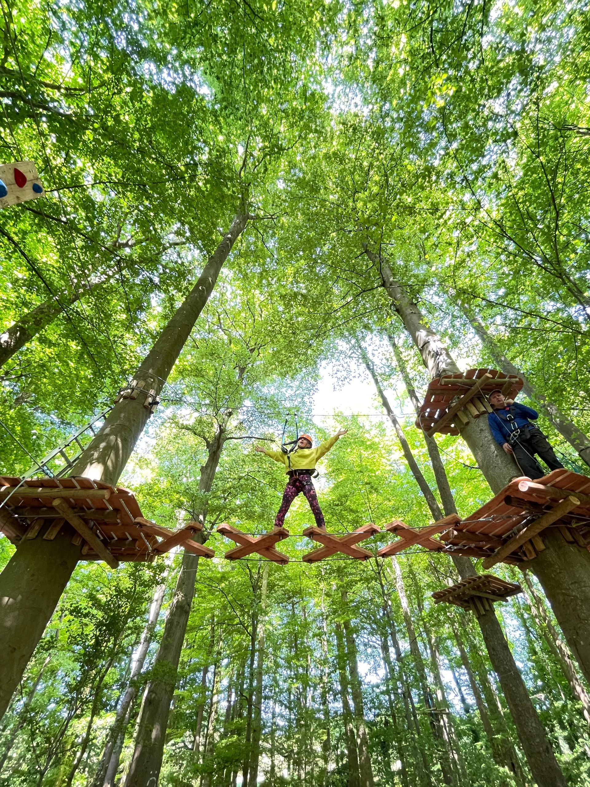 Tree Tops High Ropes