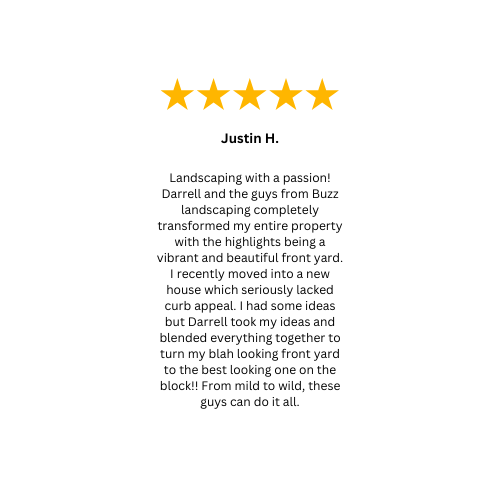 Buzz Landscapes | Landscaping Company | New Port Richey