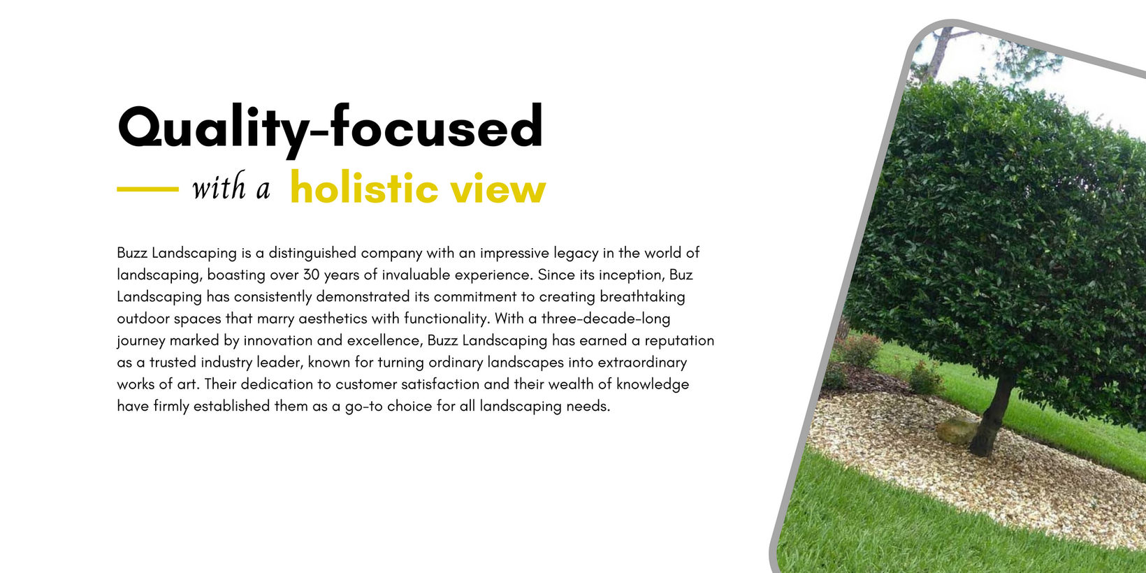 Buzz Landscapes | Landscaping Company