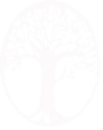 Home | Dr. Teresa M. Rafferty | Worcester, MA