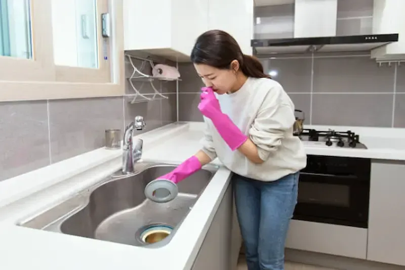 Ooh....What’s That Smell? Common Septic Odors and What They Mean