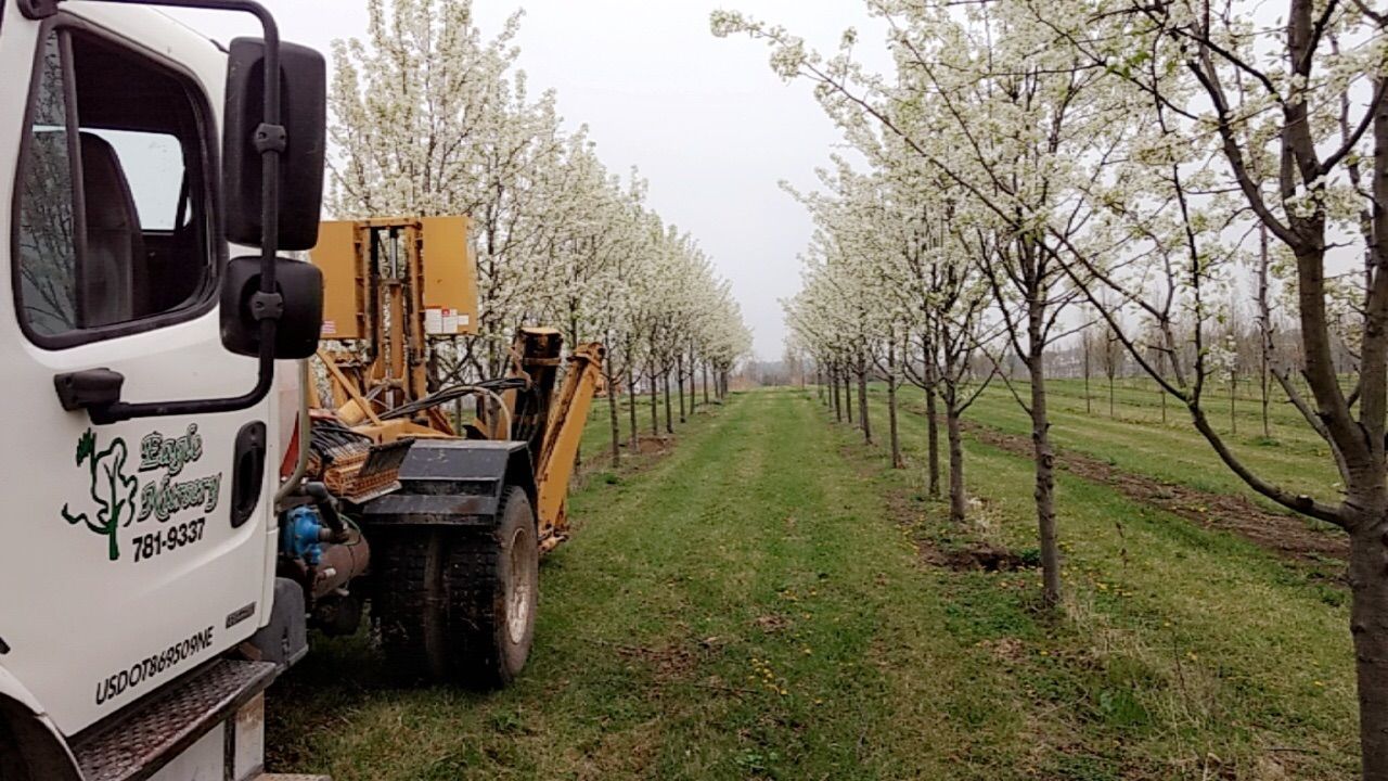 About Eagle Nursery | Eagle NE