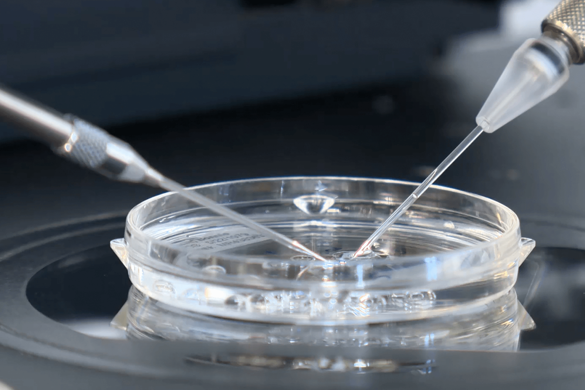 Everything You Need to Know About Genetic Testing (PGT) in IVF