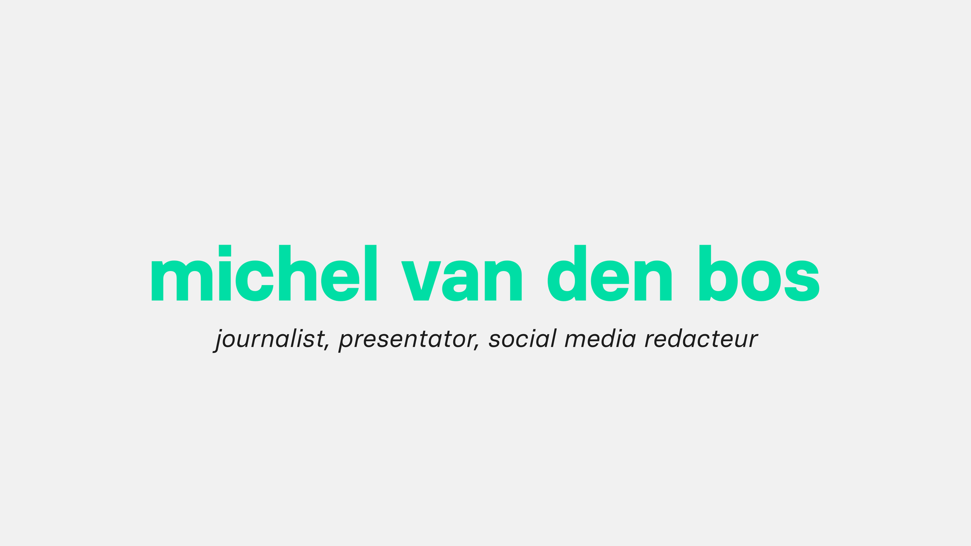 Michel van den Bos - journalist