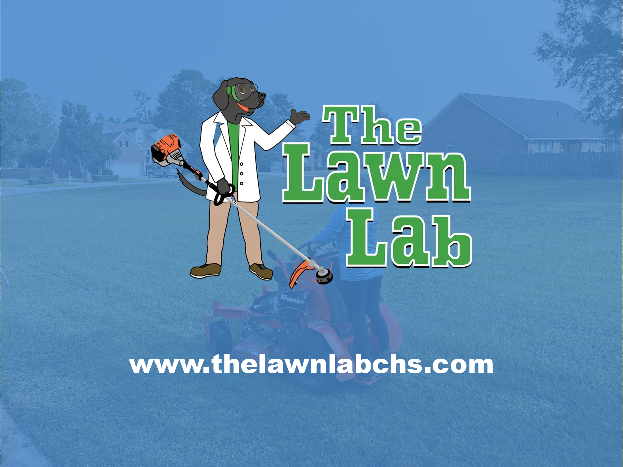 Lawn Care Services North Charleston SC, Landscaping Company
