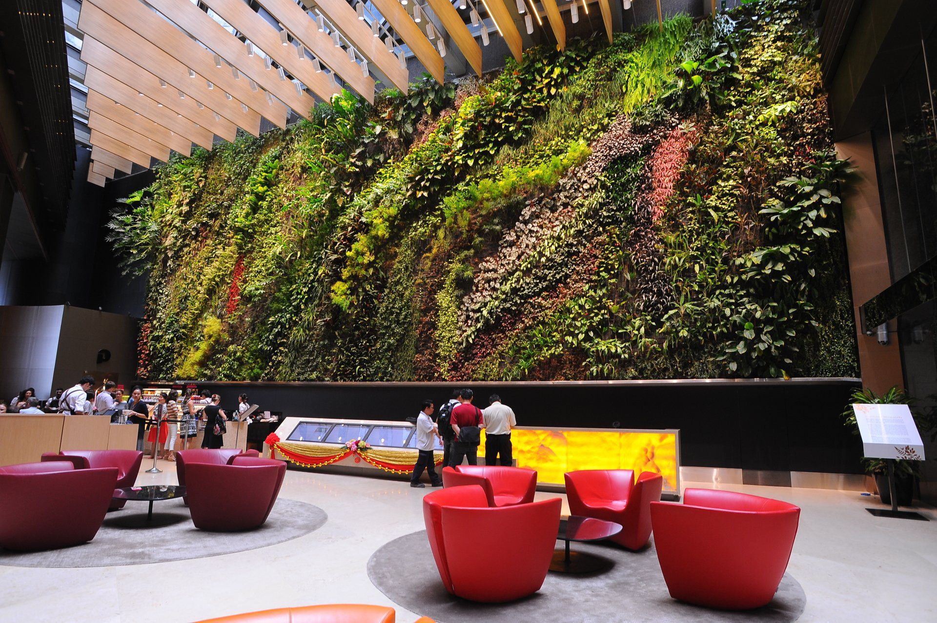 Nature Landscapes - Landscape Project Implementation