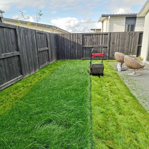 Overgrown Lawn