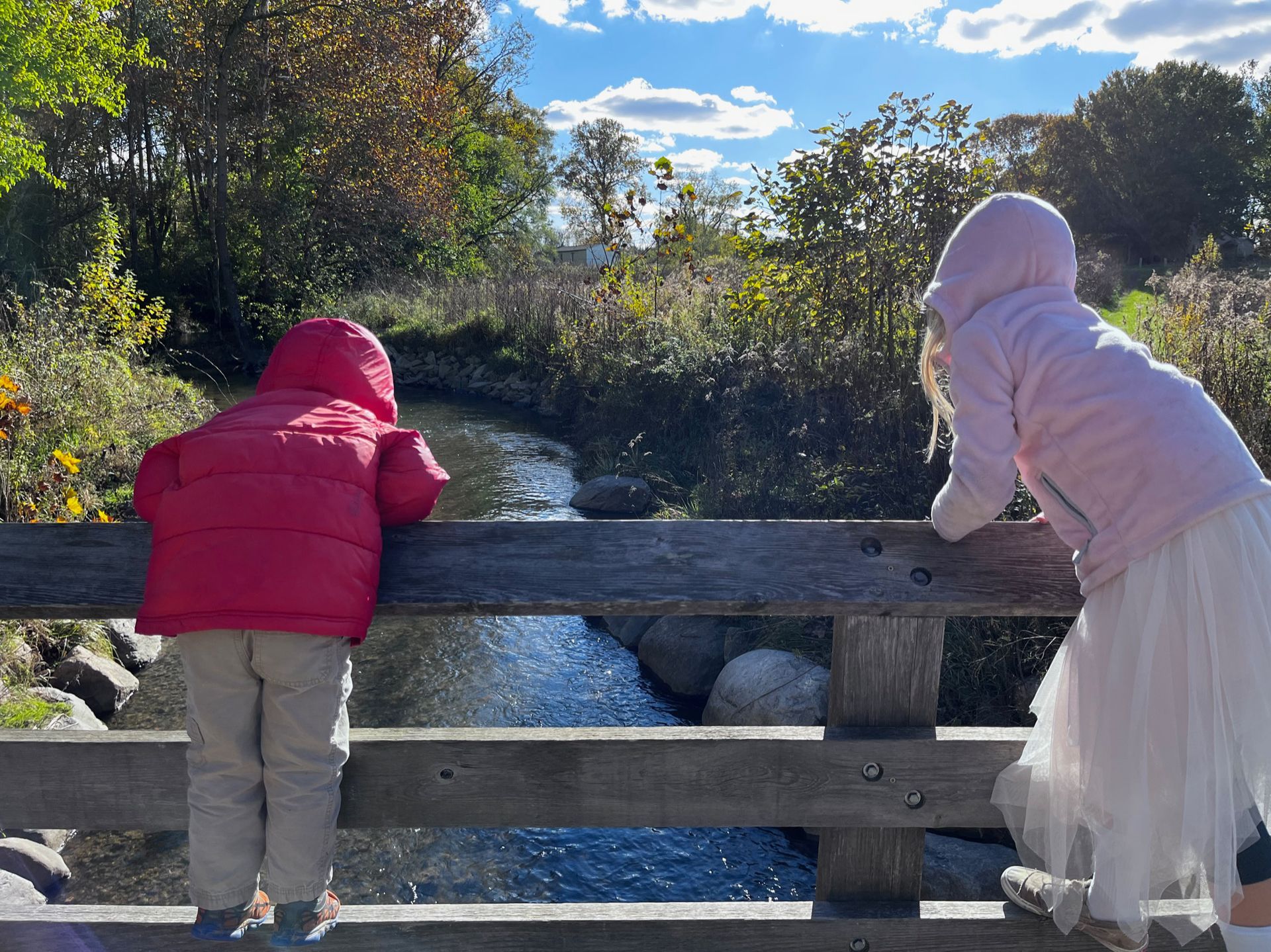 Nature based, child led, full time preschool