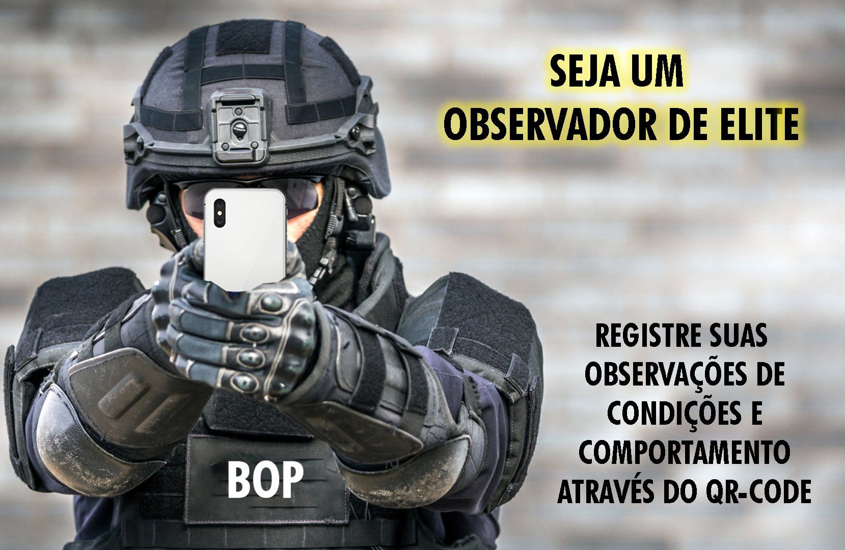 Programas e Ferramentas