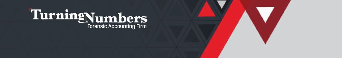 A Forensic Accounting Firm | Turning Numbers