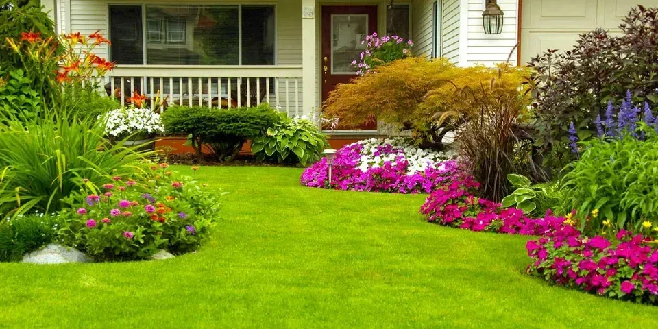 Lawn Care Experts Offer Tips for Controlling Grub Worms