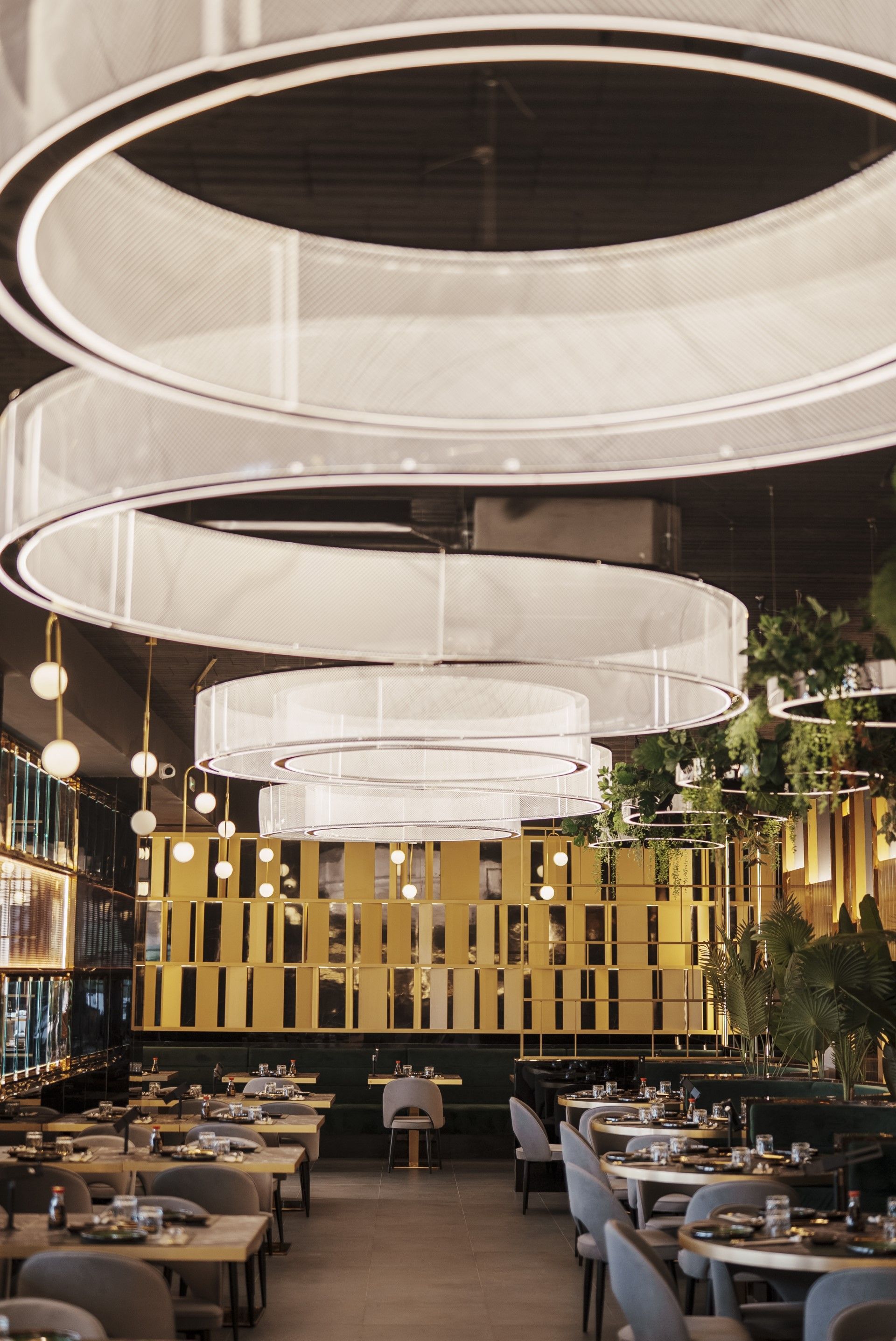 Sushi | Cinquefrondi (Reggio Calabria) | Ximi Sushi