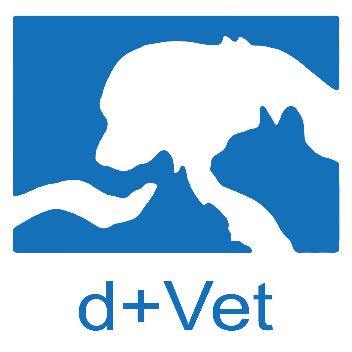 D+Vet Produtos e Equipamentos Veterinarios Ltda Epp