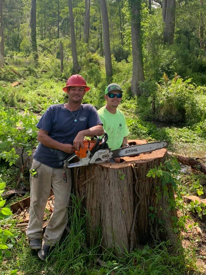 Gallery | Respess Brothers Tree Service