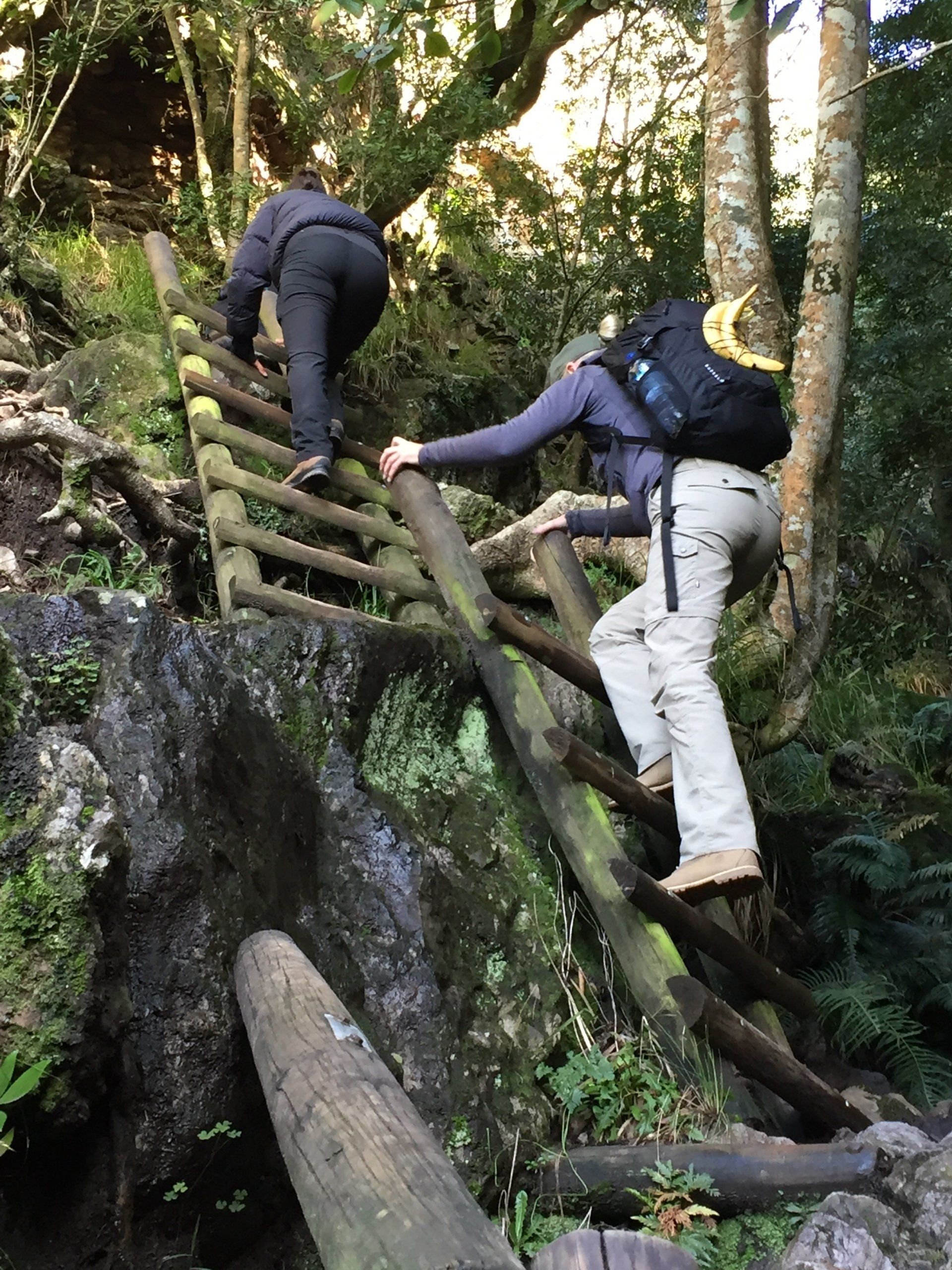 The Pipe Track Walk| Guided Hike Specifications and Pricing