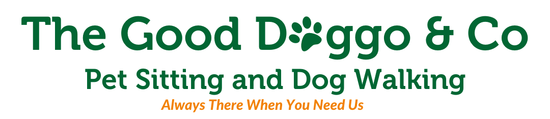 Home | The Good Doggo & Co Pet Sitting | Plantation, FL