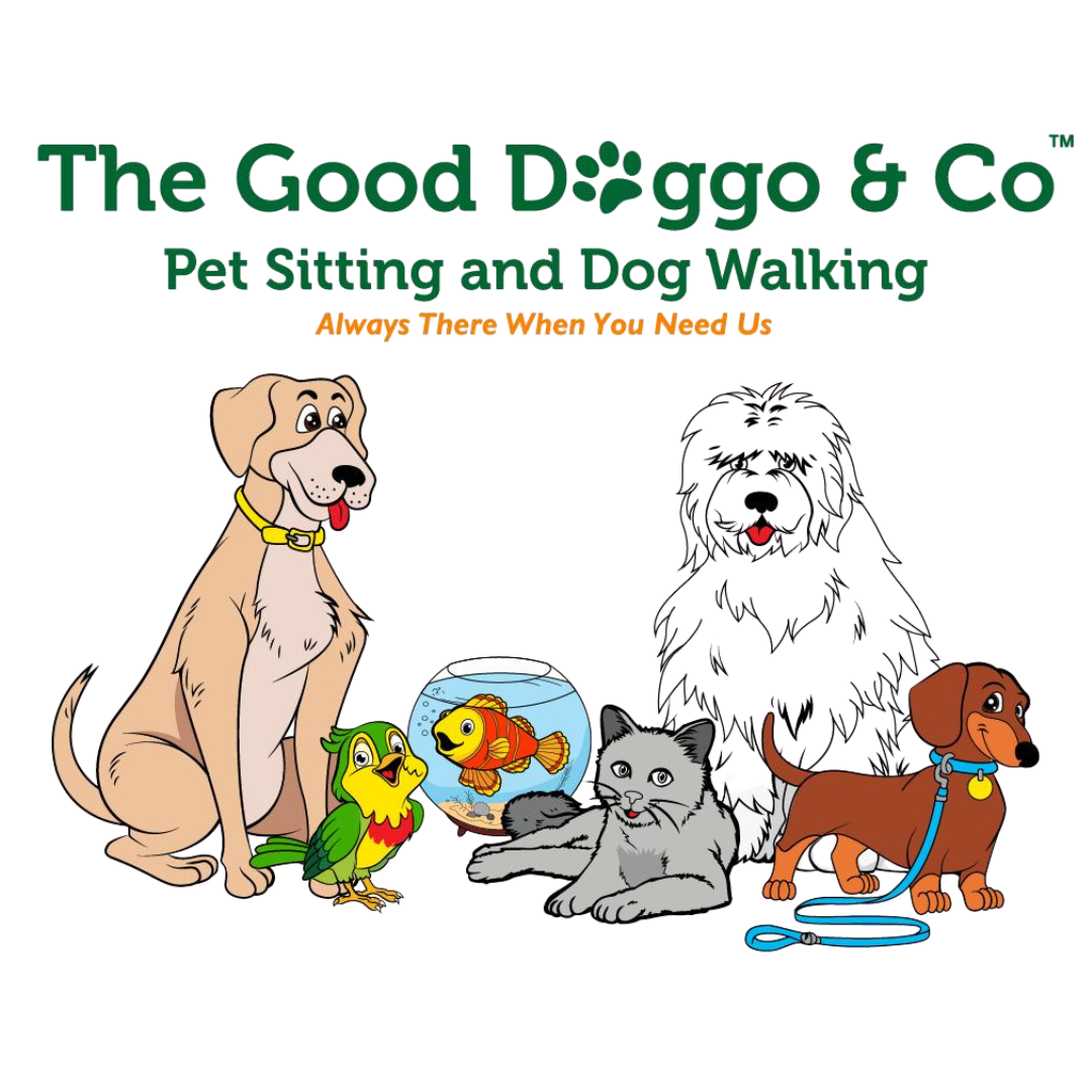 Home | The Good Doggo & Co Pet Sitting | Plantation, FL