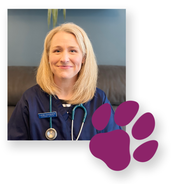 Mobile Pet Euthanasia – Nottingham | Rainbow Bridge Veterinary