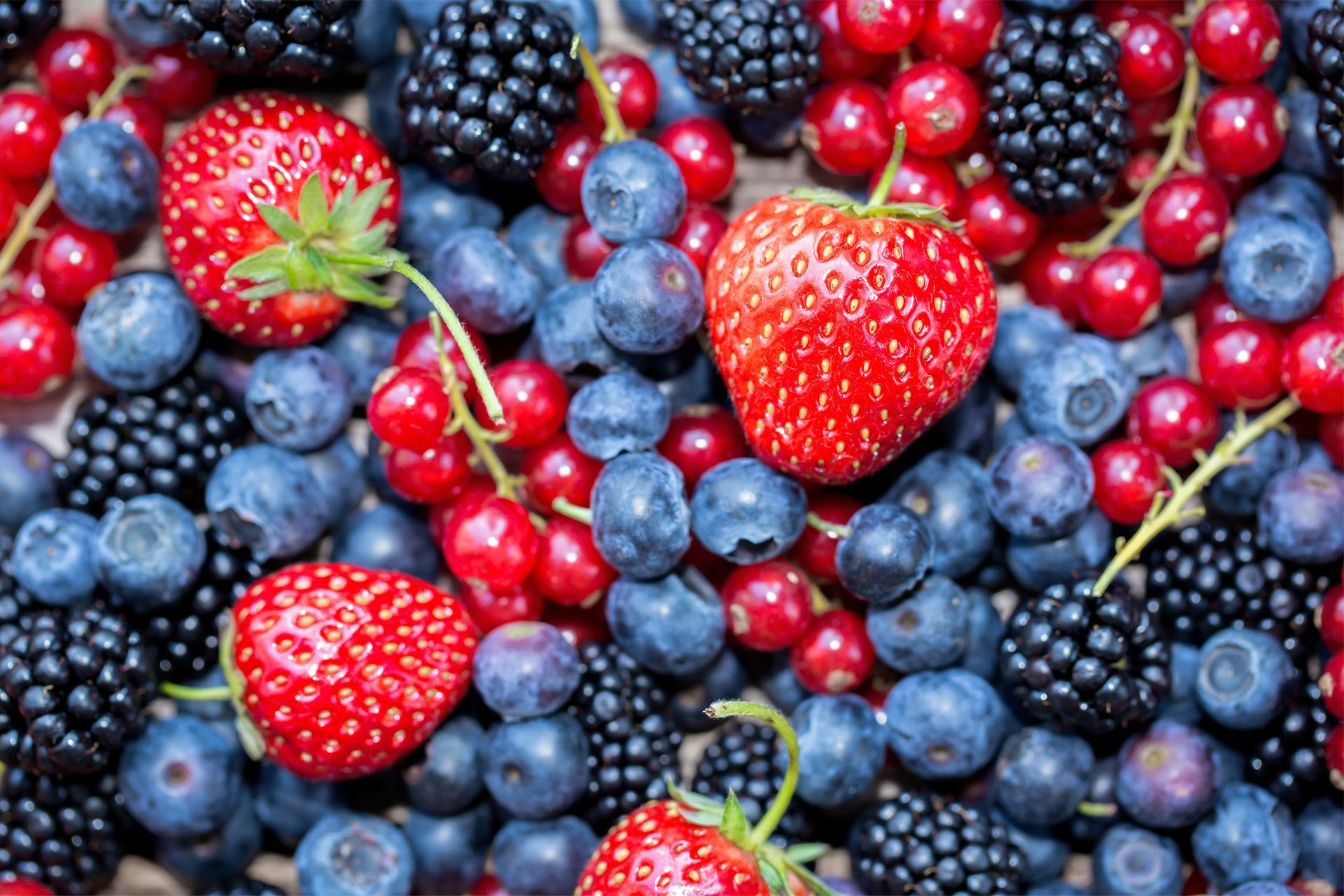 11 Reasons Why Berries Are Among the Healthiest Foods on Earth
