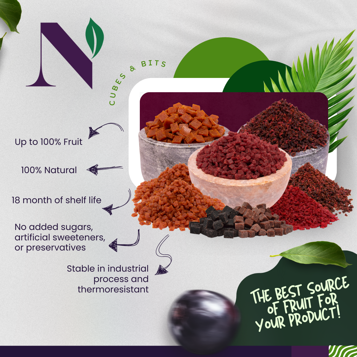 Clean-Label Fruit Inclusions: Natural cubes & bits that lift your ...