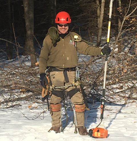 Tree work Rochester, NY - Weber Tree Inc