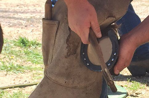 Wyoming School of Horseshoeing | Learn to be a Farrier