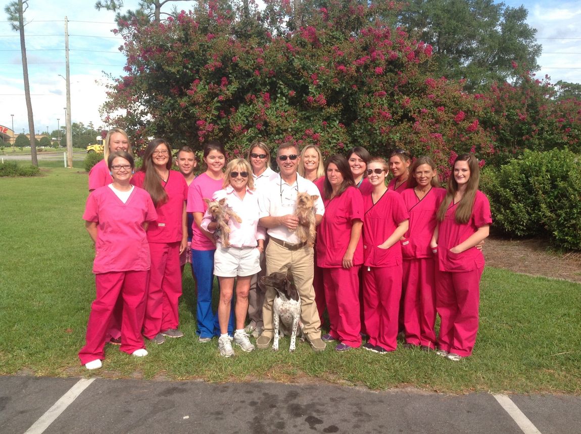 Veterinarian in Foley, AL | Animal Medical Center