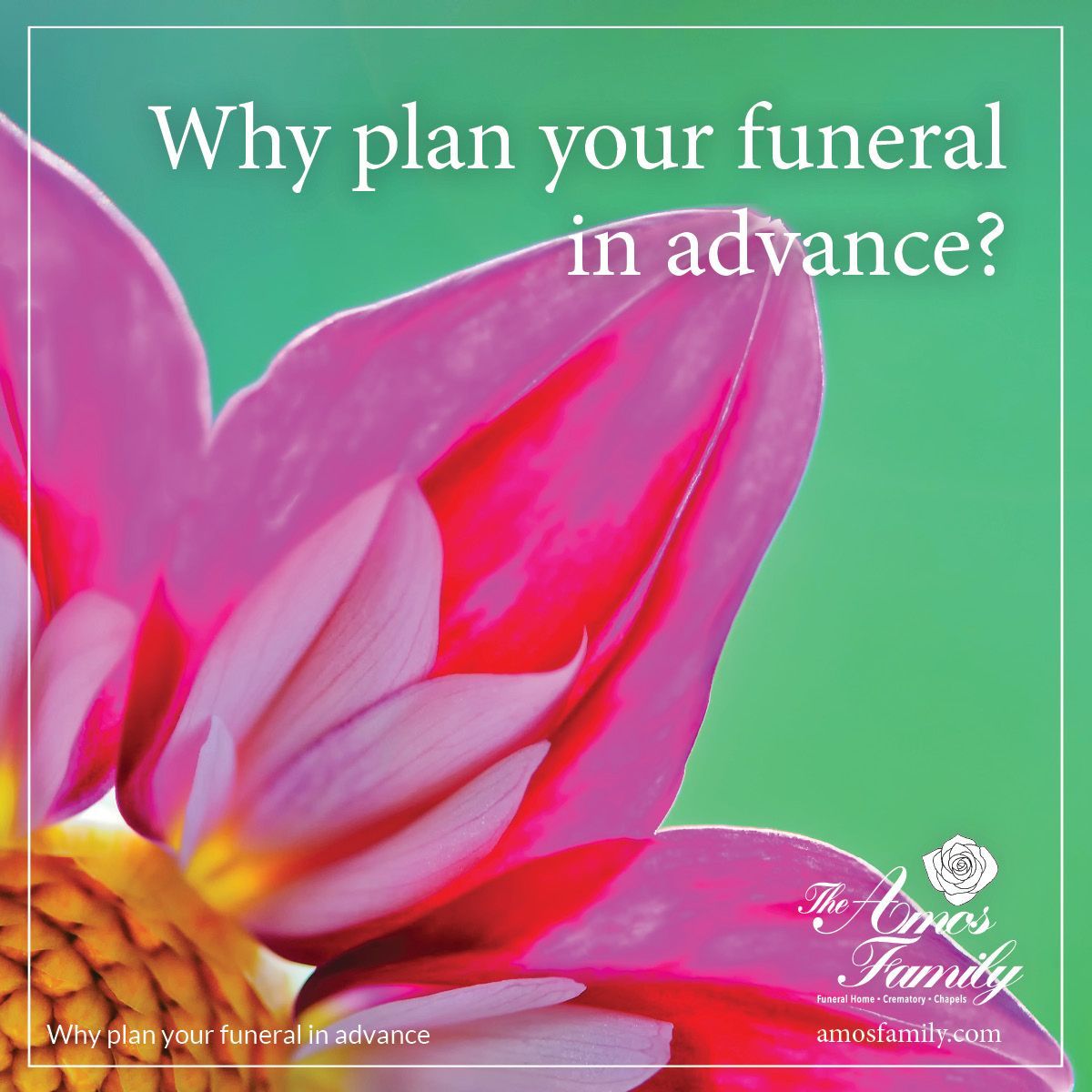 Why Plan Your Funeral in Advance?