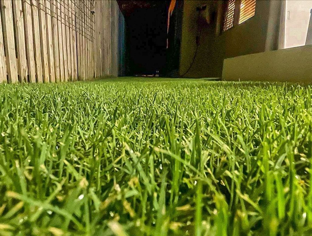 Top Notch Turf | Turf in North Queensland