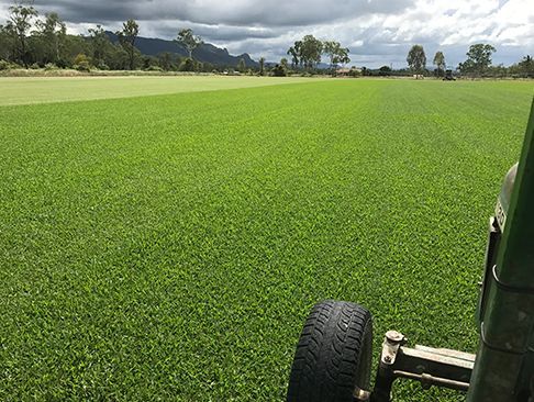 Top Notch Turf | Turf in North Queensland