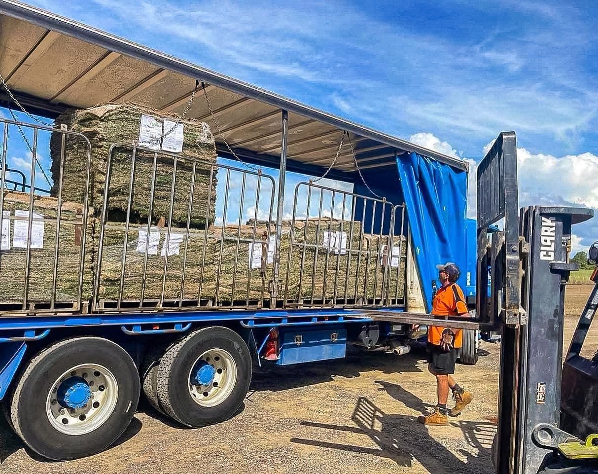 Turf Delivery in North Queensland | Top Notch Turf