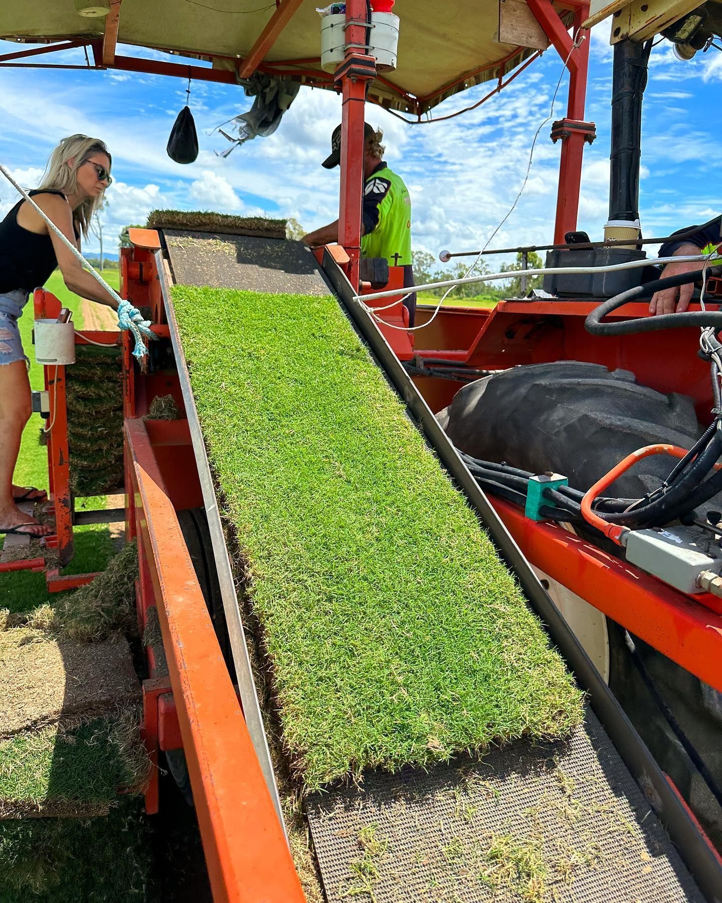 Gallery | Top Notch Turf