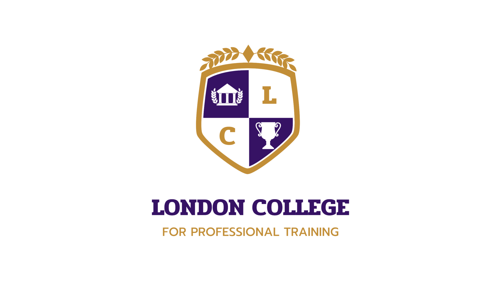 HOME [londoncollegept.co.uk]