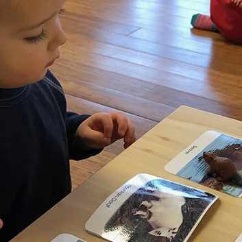 Montessori Basics: The Language Curriculum