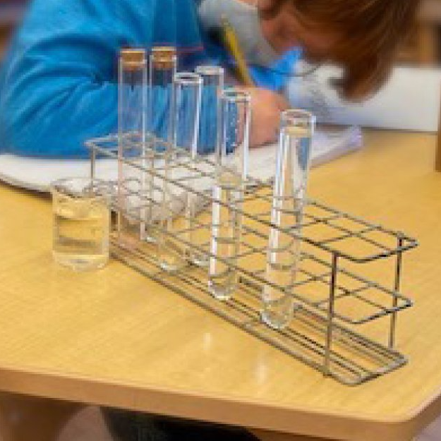 What is Cosmic Education?