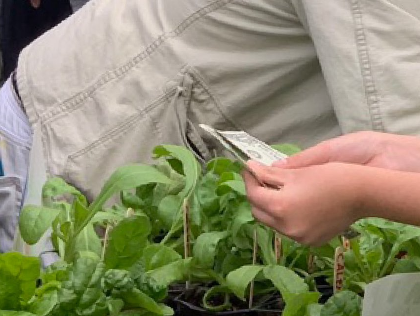 Achieving Economic Independence