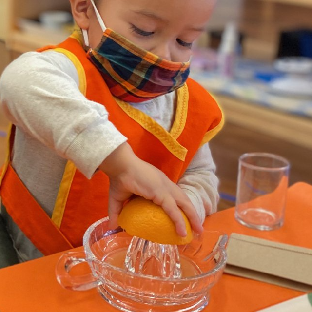 Practical Life for the Holidays