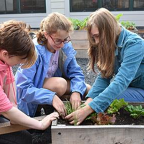 A Montessori Mini Dictionary