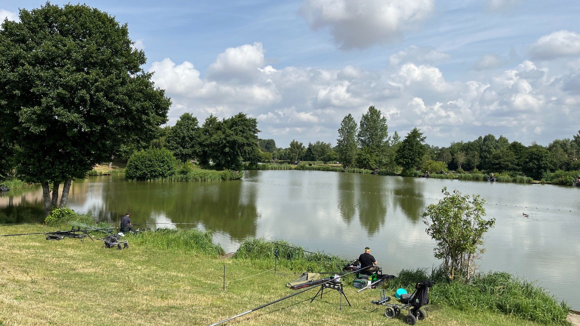 Fish at Makins Fishery